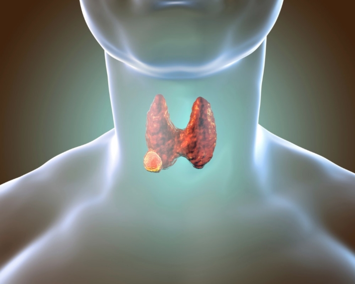 Tiroid Hastalıkları - Dr. Yaşar Kemal Duymaz